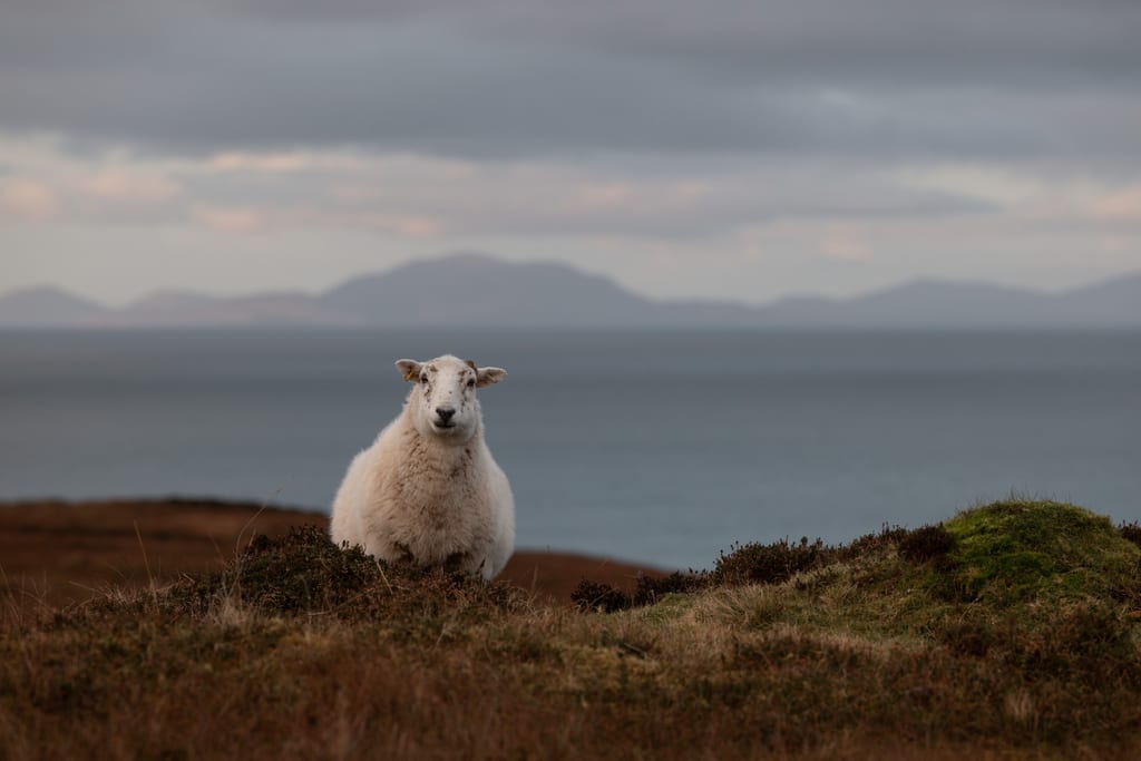 Milovaig House | remote clifftop retreat with hot tub | Isle of Skye
