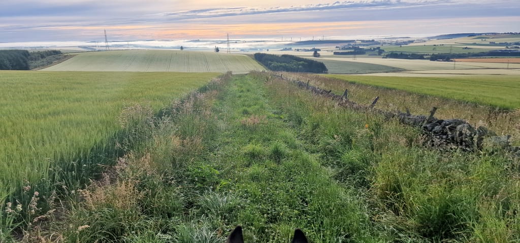Logie Newton Lodges | rural self catering lodges in Aberdeenshire